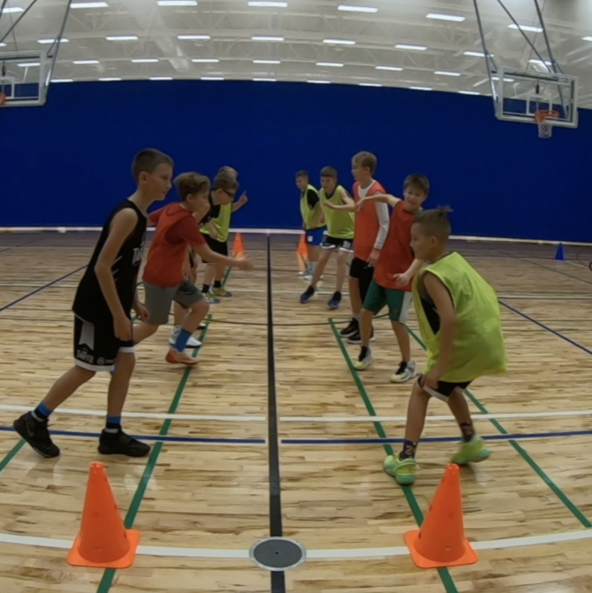 Rebased ja rotid - Liikumisõpetus